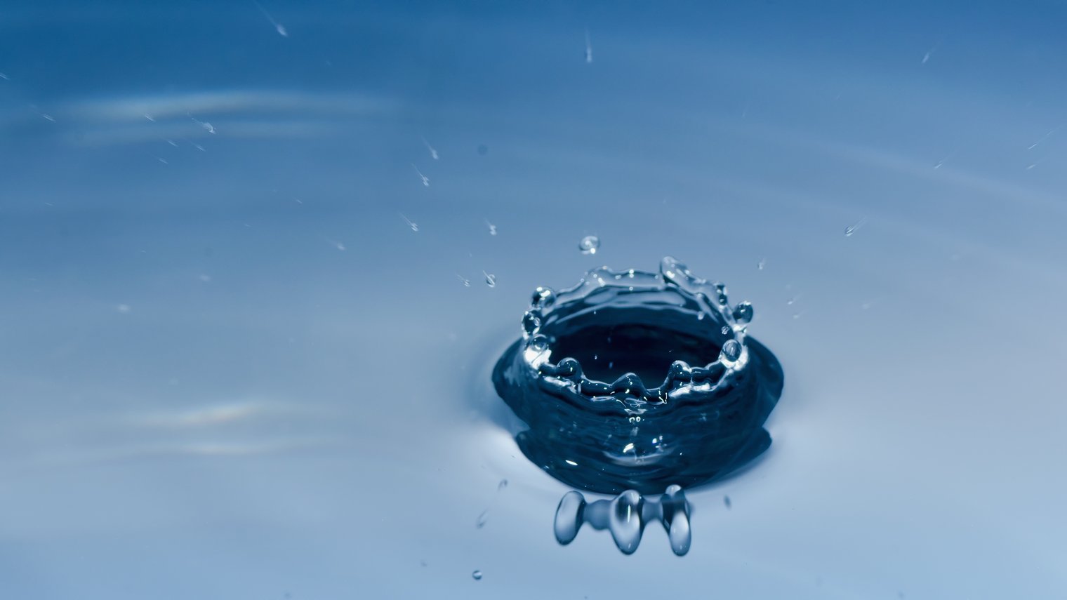 Tracking and Recognizing Volunteer Impact